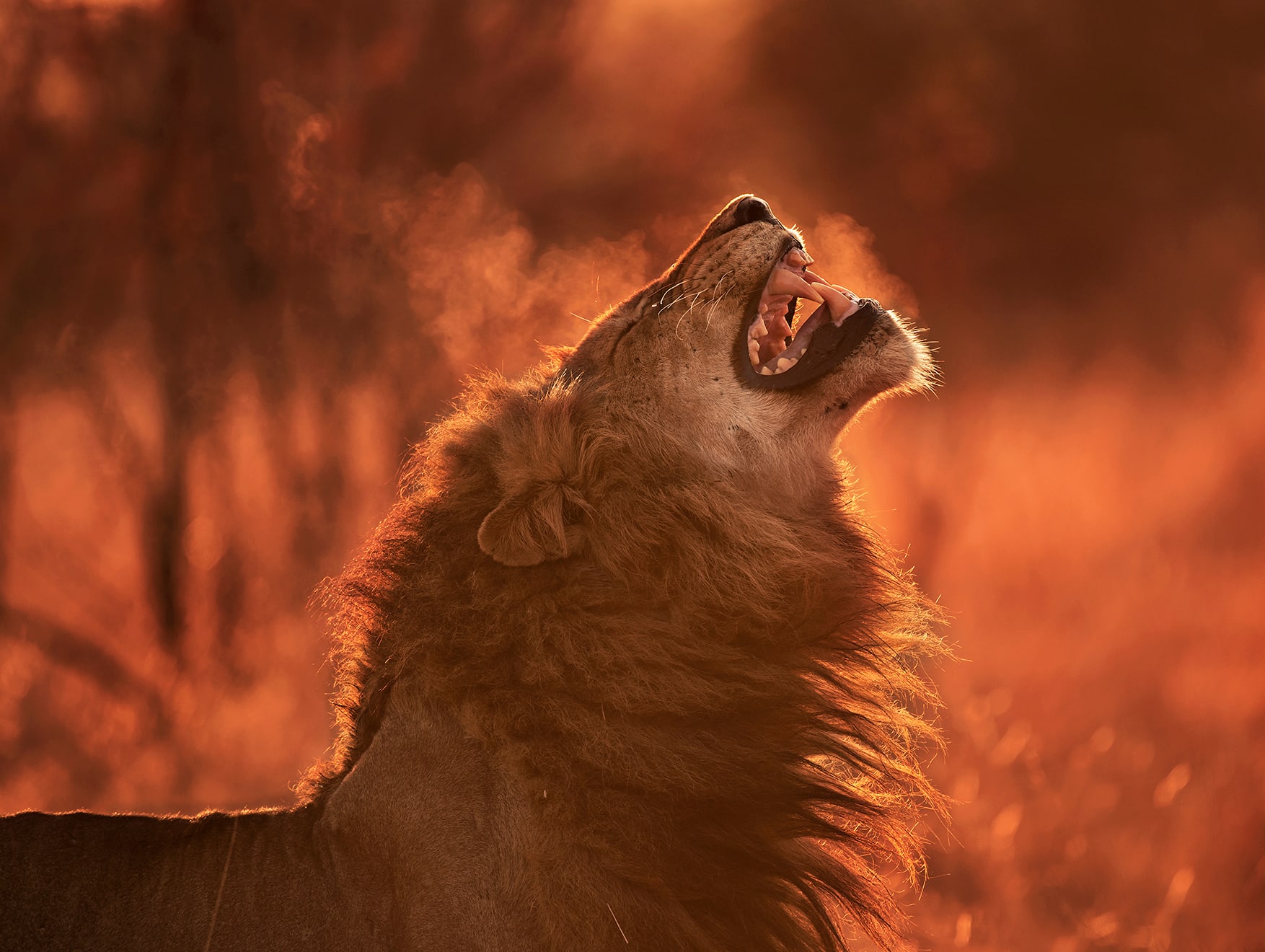South Africa Photo Safari | Greg du Toit | Experience real Africa