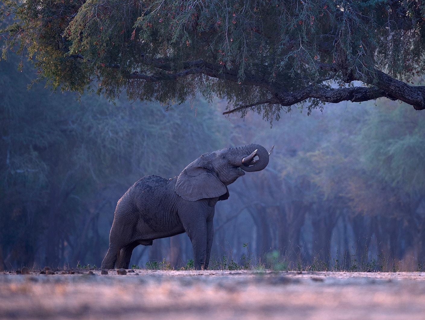 Zambia Photo Safari | Greg du Toit | Experience real Africa