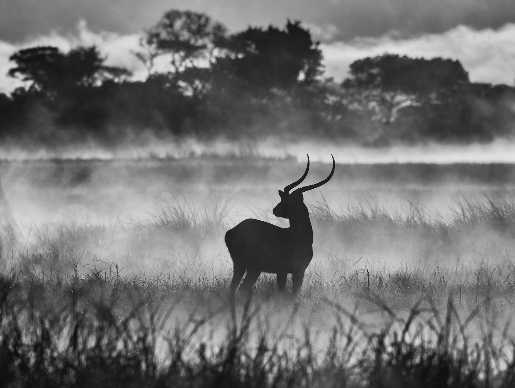 Exploratory Photo Safari | Greg du Toit | Experience real Africa